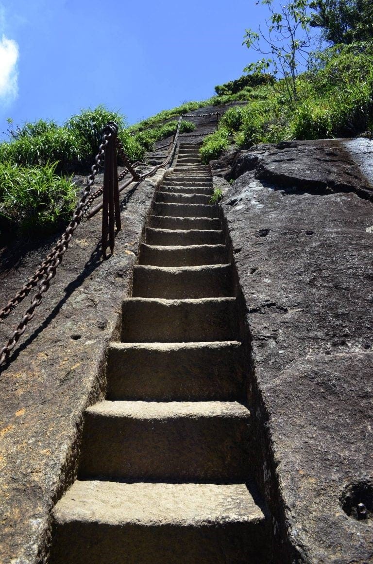 Pico da Tijuca (Tijuca peak) - Rio Film Commission